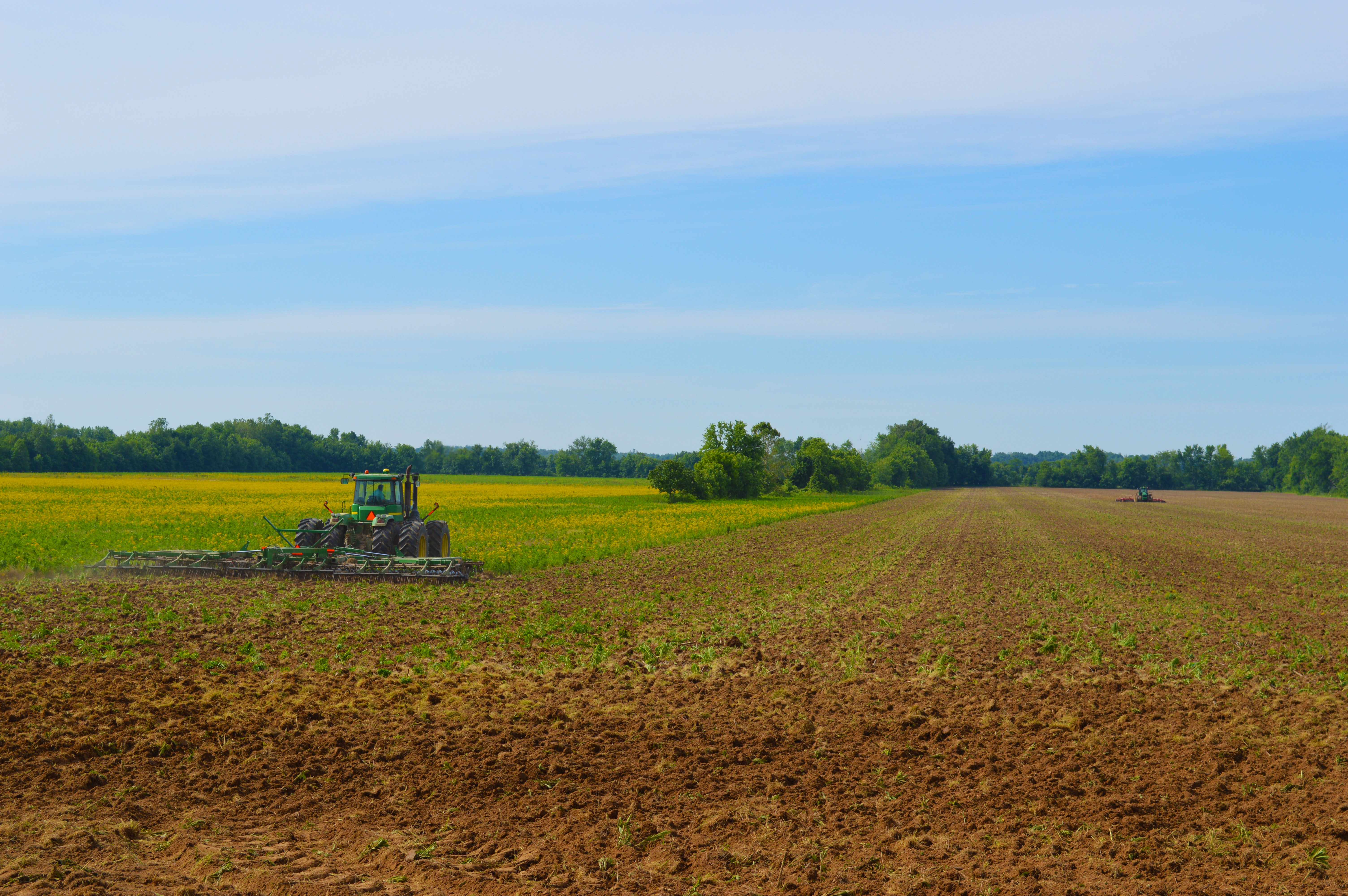 Farm – Drew Rampley Photo & Design